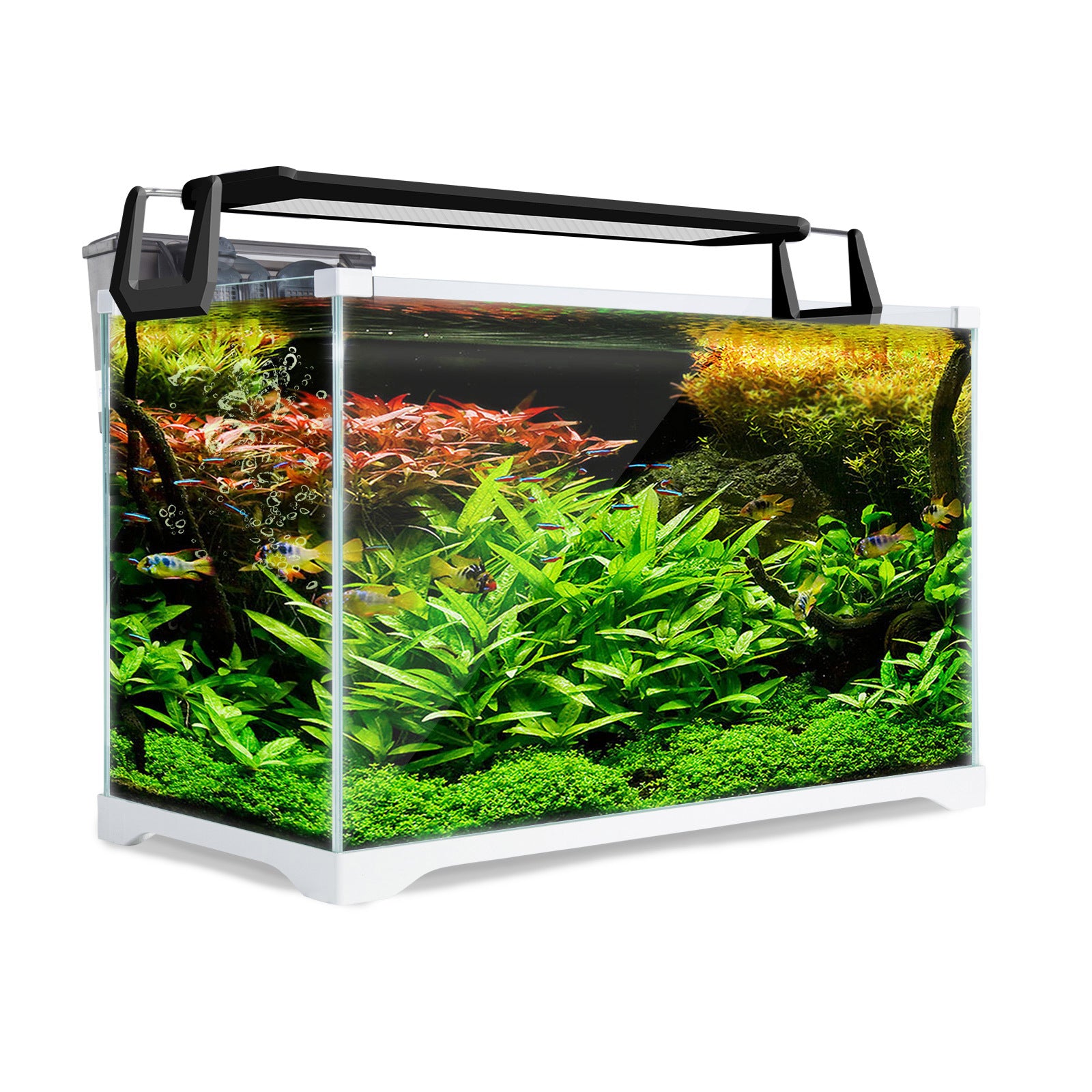 Aquarium Starfire Glass Fish Tank Set Filter Pump 39L – The Urban Emporium